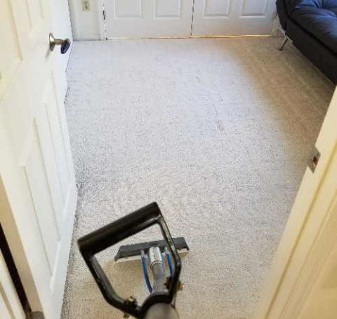 Carpet Cleaning San Diego | Monster Steamer